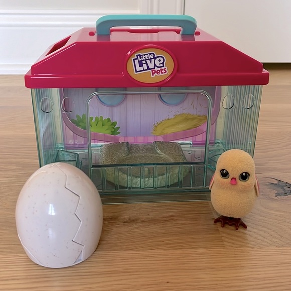 Little Live Pets | Toys | Little Live Pets Surprise Chick | Poshmark